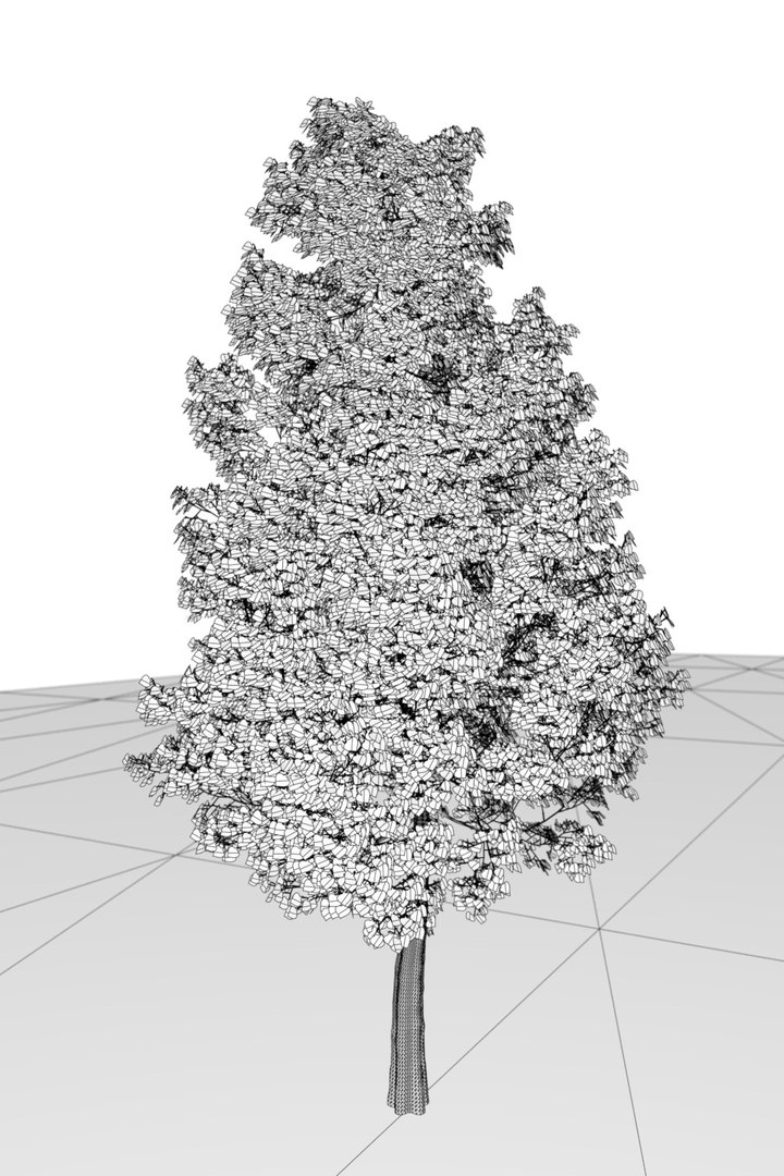 Trees Pack 3D Model - TurboSquid 1153956