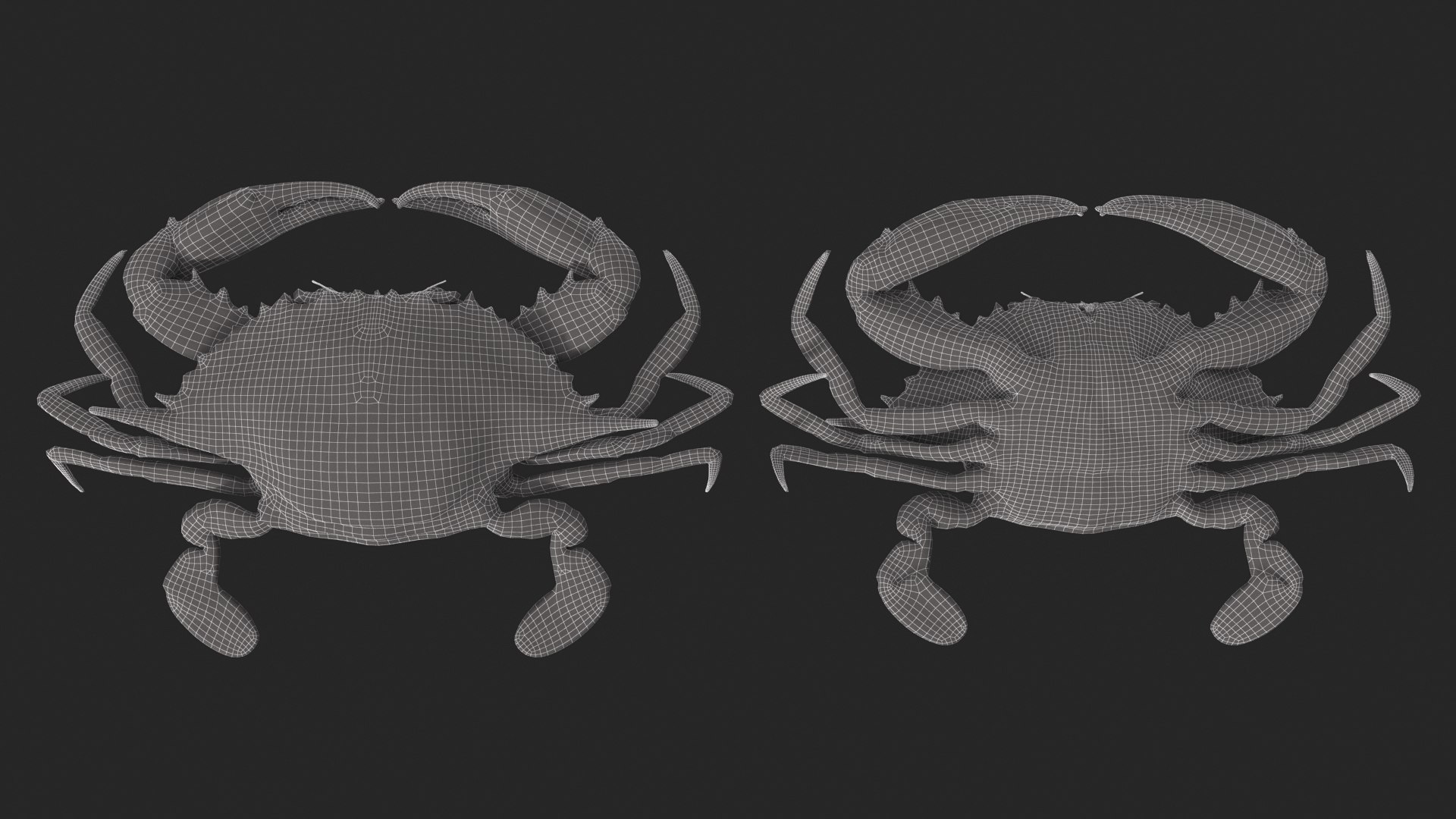 3D Rigged Blue Crab Animation - TurboSquid 1521998