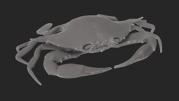 3D rigged blue crab animation - TurboSquid 1521998