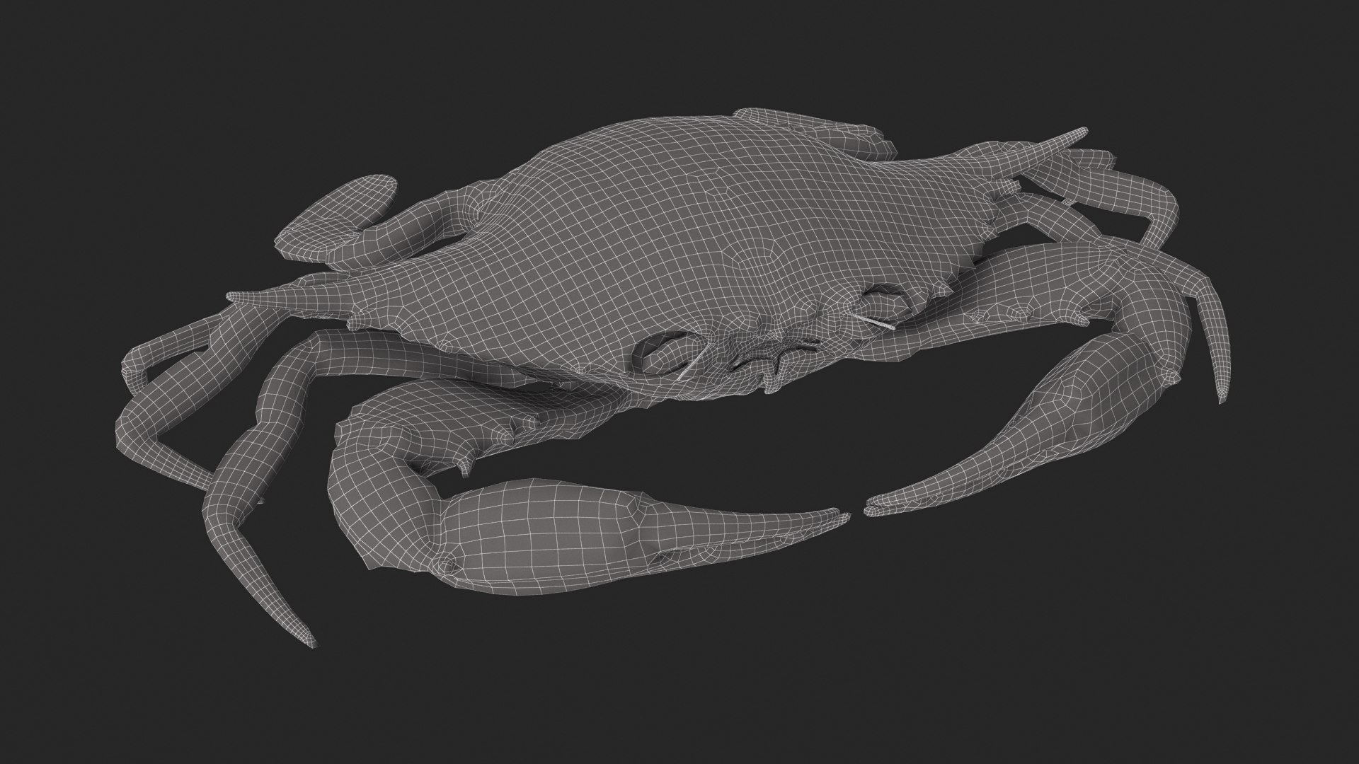 3D Rigged Blue Crab Animation - TurboSquid 1521998