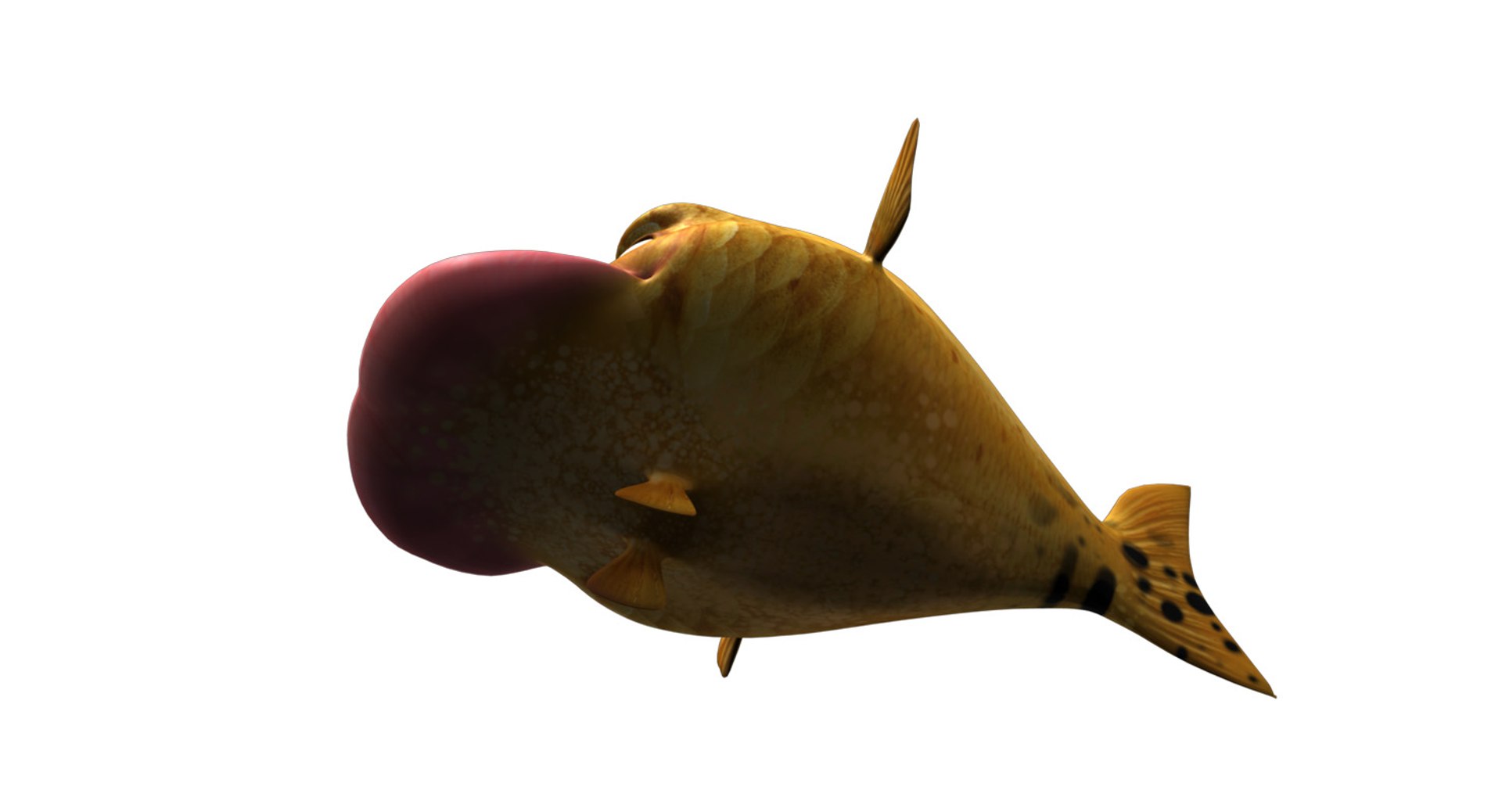 3D Villon Fish Cartoon Rig - TurboSquid 1538962