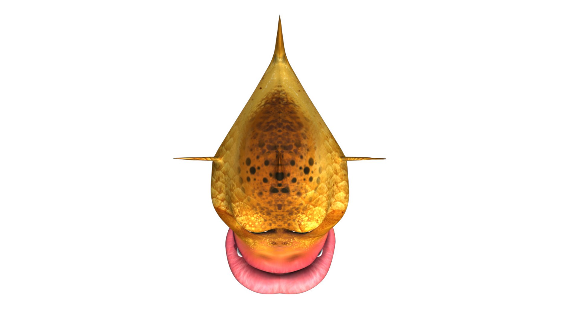 3D Villon Fish Cartoon Rig - TurboSquid 1538962
