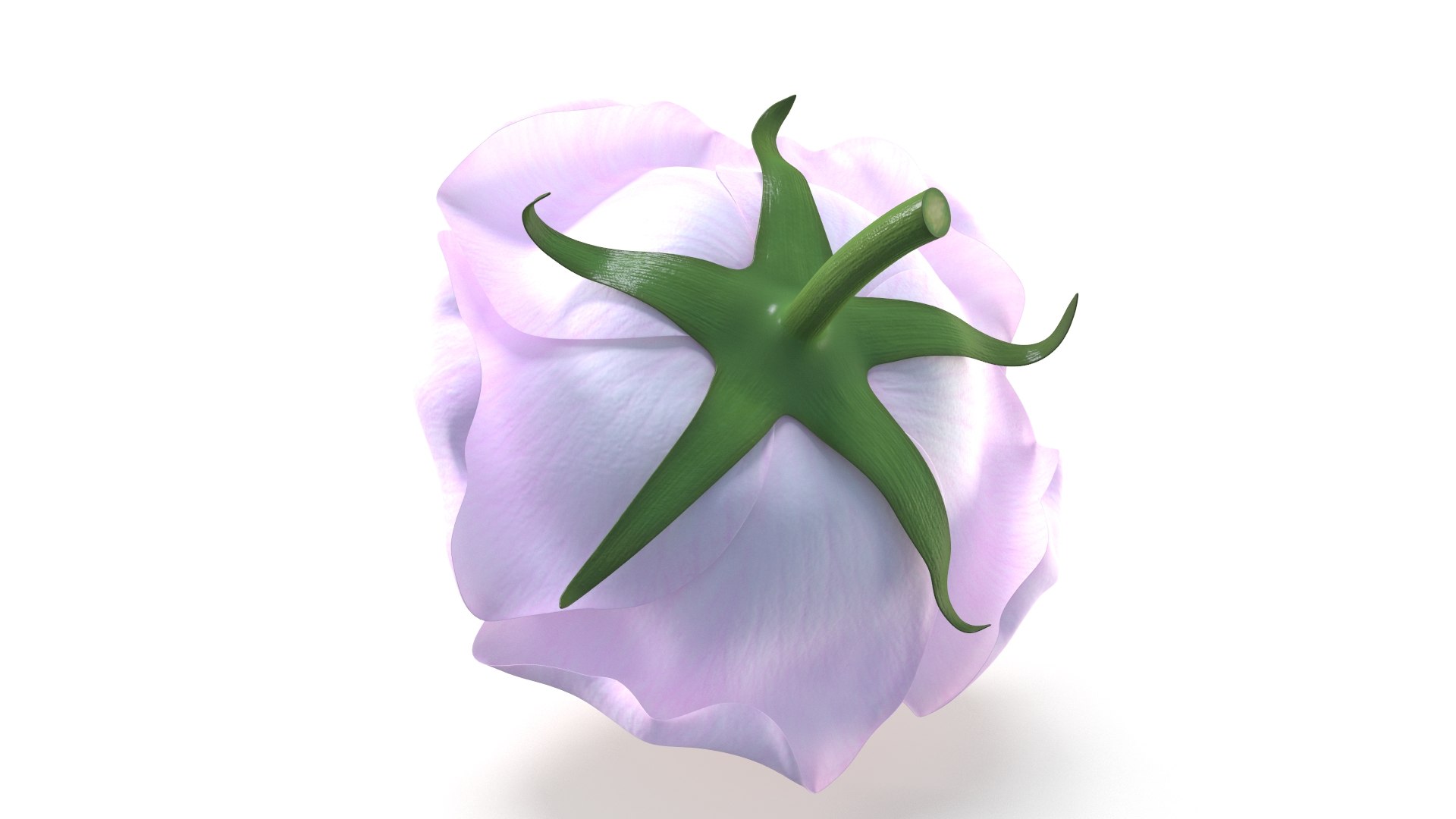 Realistic Pink Rose 3D Model - Ultra-High Quality 4K PBR Asset Model ...