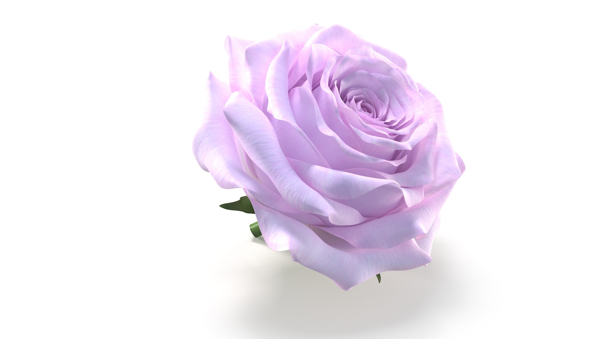 Realistic Pink Rose 3D Model - Ultra-High Quality 4K PBR Asset Model ...