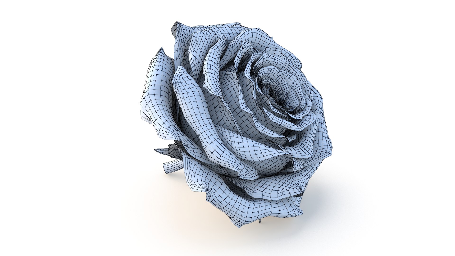 Realistic Pink Rose 3D Model - Ultra-High Quality 4K PBR Asset Model ...