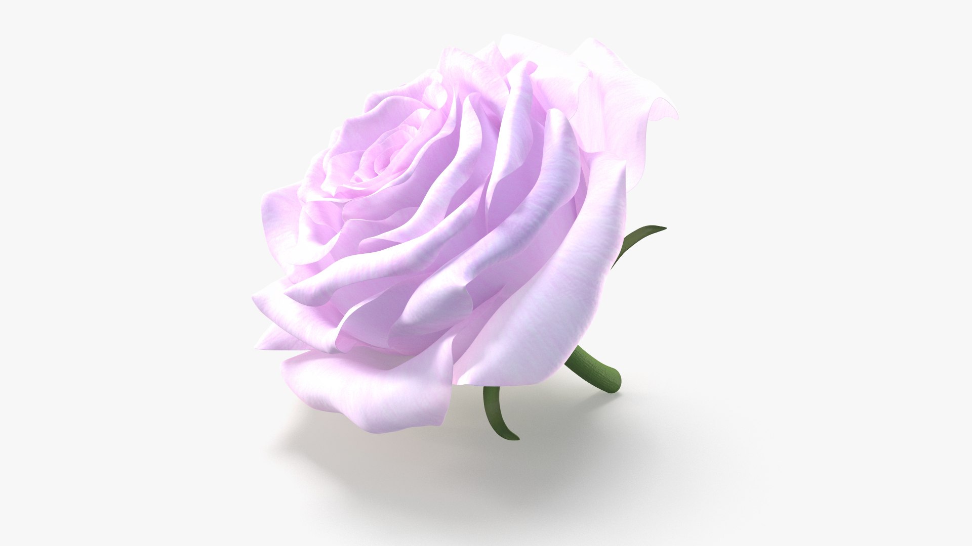 Rose Petals Collection - Red Pink Texture Variations 3D Model ...