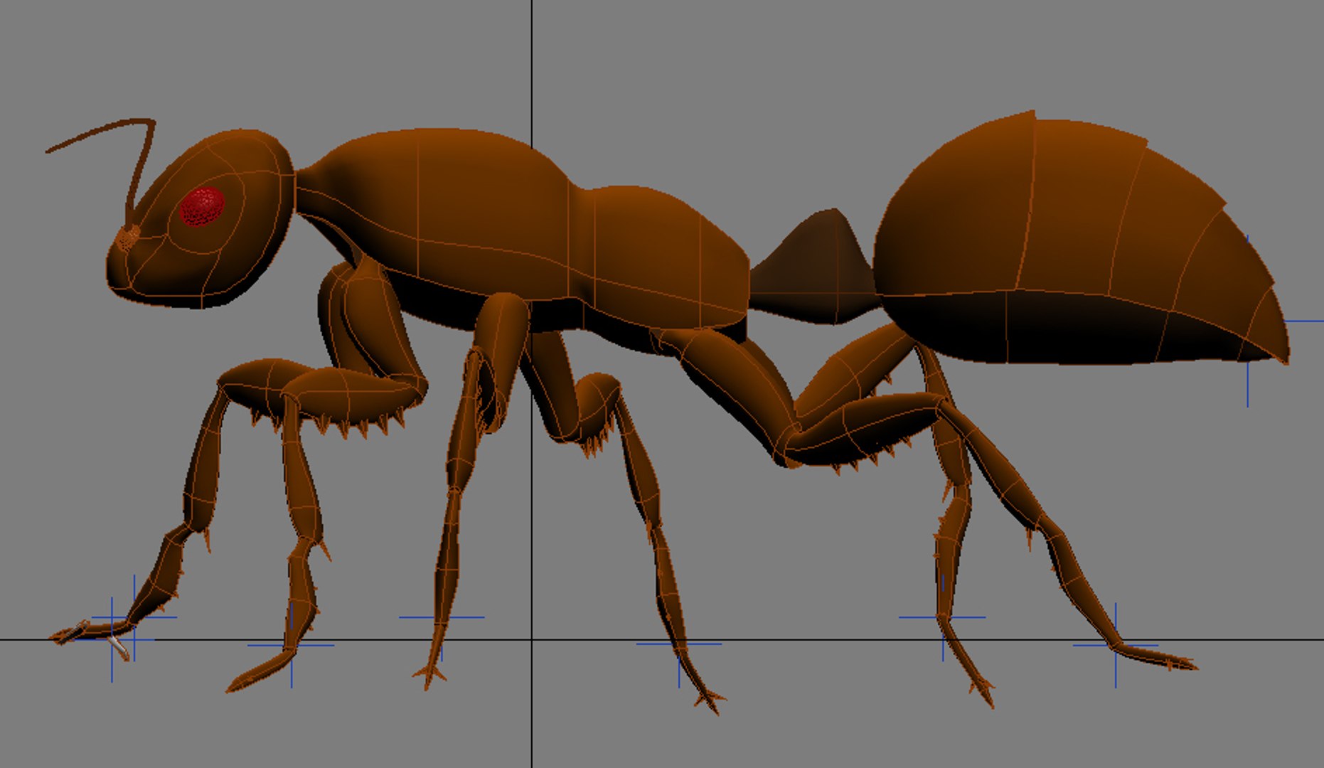 3d model ant splines