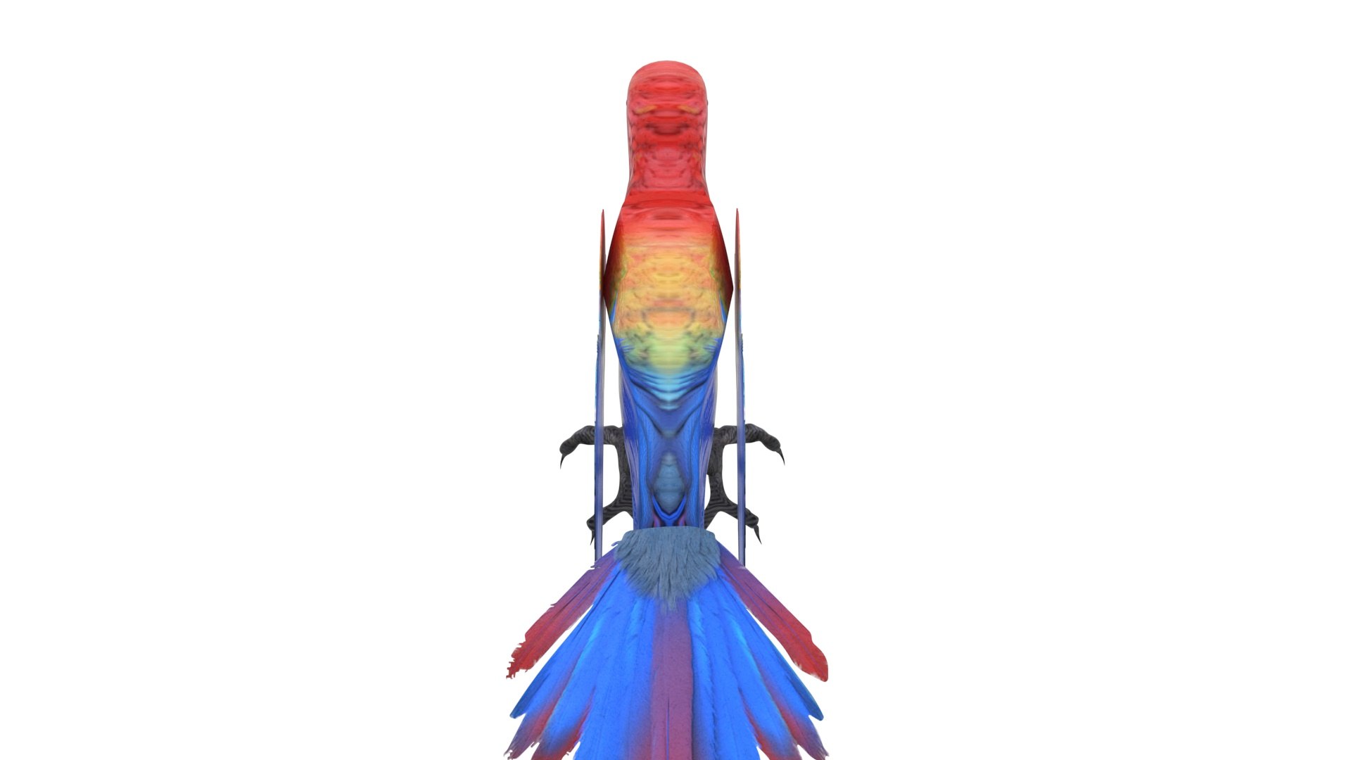 Parrot Model - TurboSquid 1923126