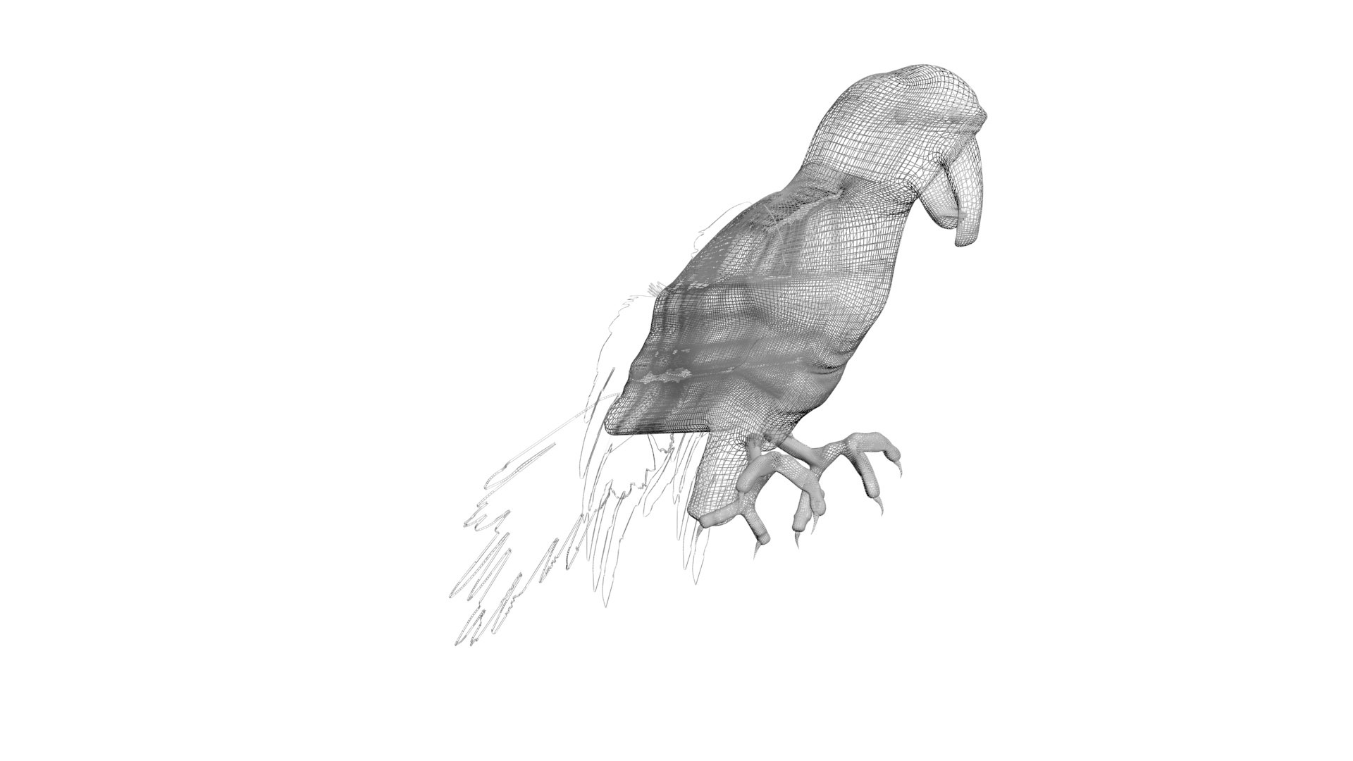 Parrot Model - TurboSquid 1923126