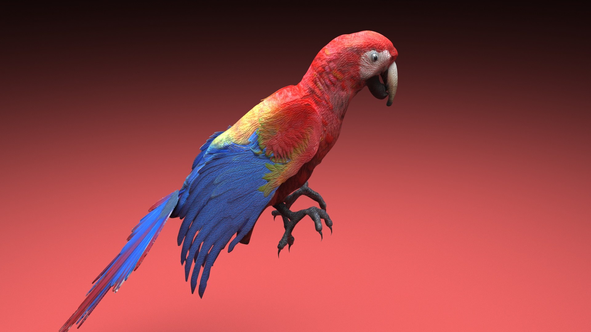 Parrot Model - TurboSquid 1923126