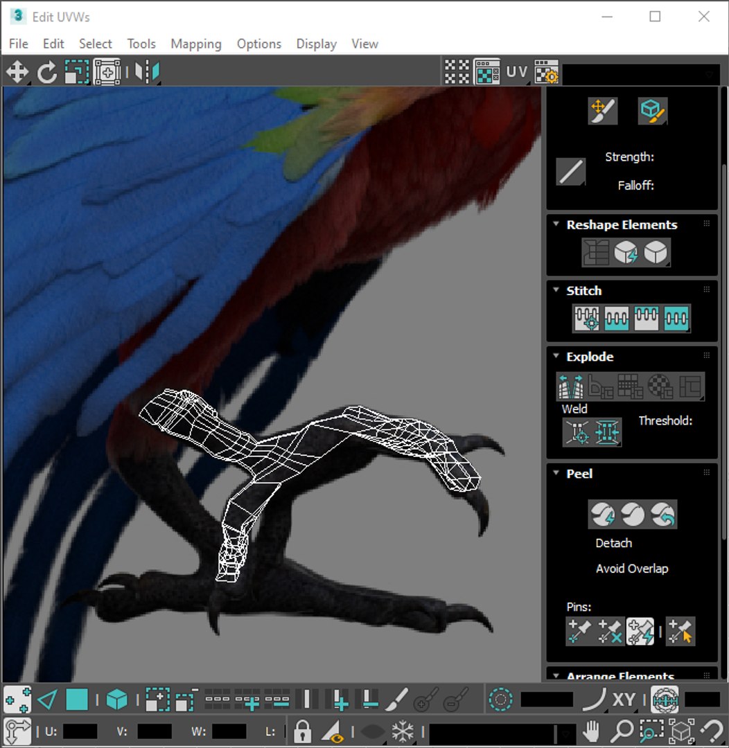Parrot Model - TurboSquid 1923126