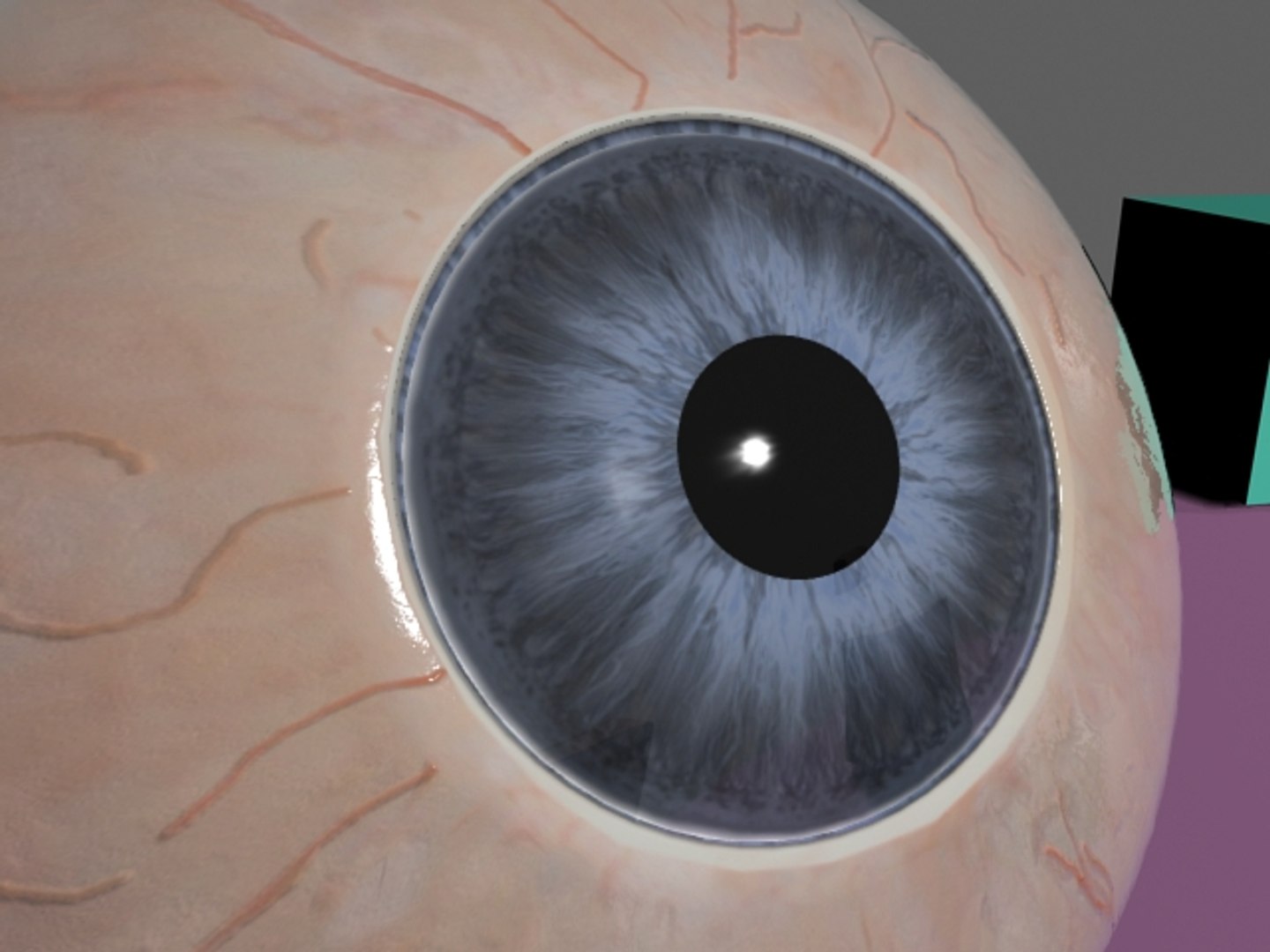 3d Realistic Human Eye Pupil