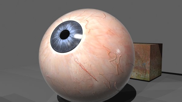 3d realistic human eye pupil