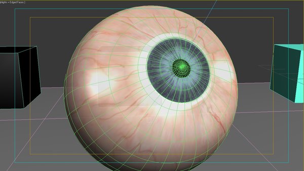 3d realistic human eye pupil