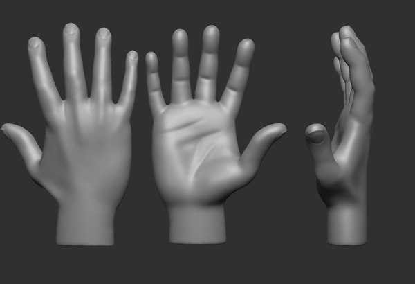 3D Hand - TurboSquid 1881555