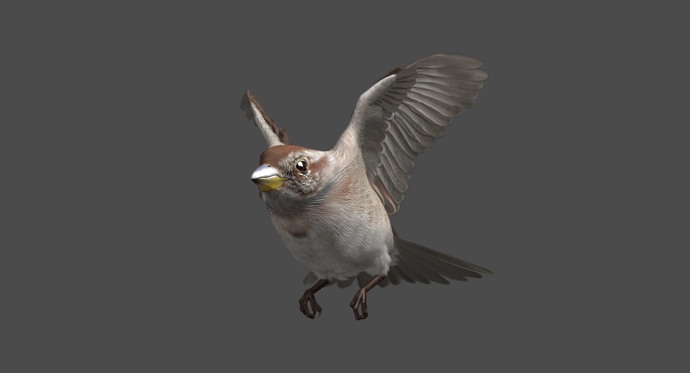 American tree sparrow animation 3D model - TurboSquid 1178439