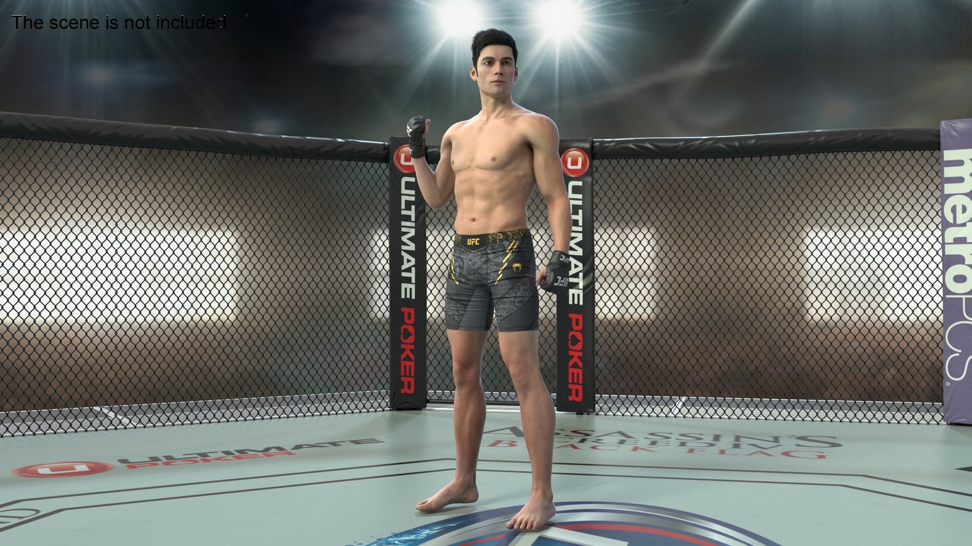 3D Model Fighter UFC MMA In Pose Fur - TurboSquid 2333990