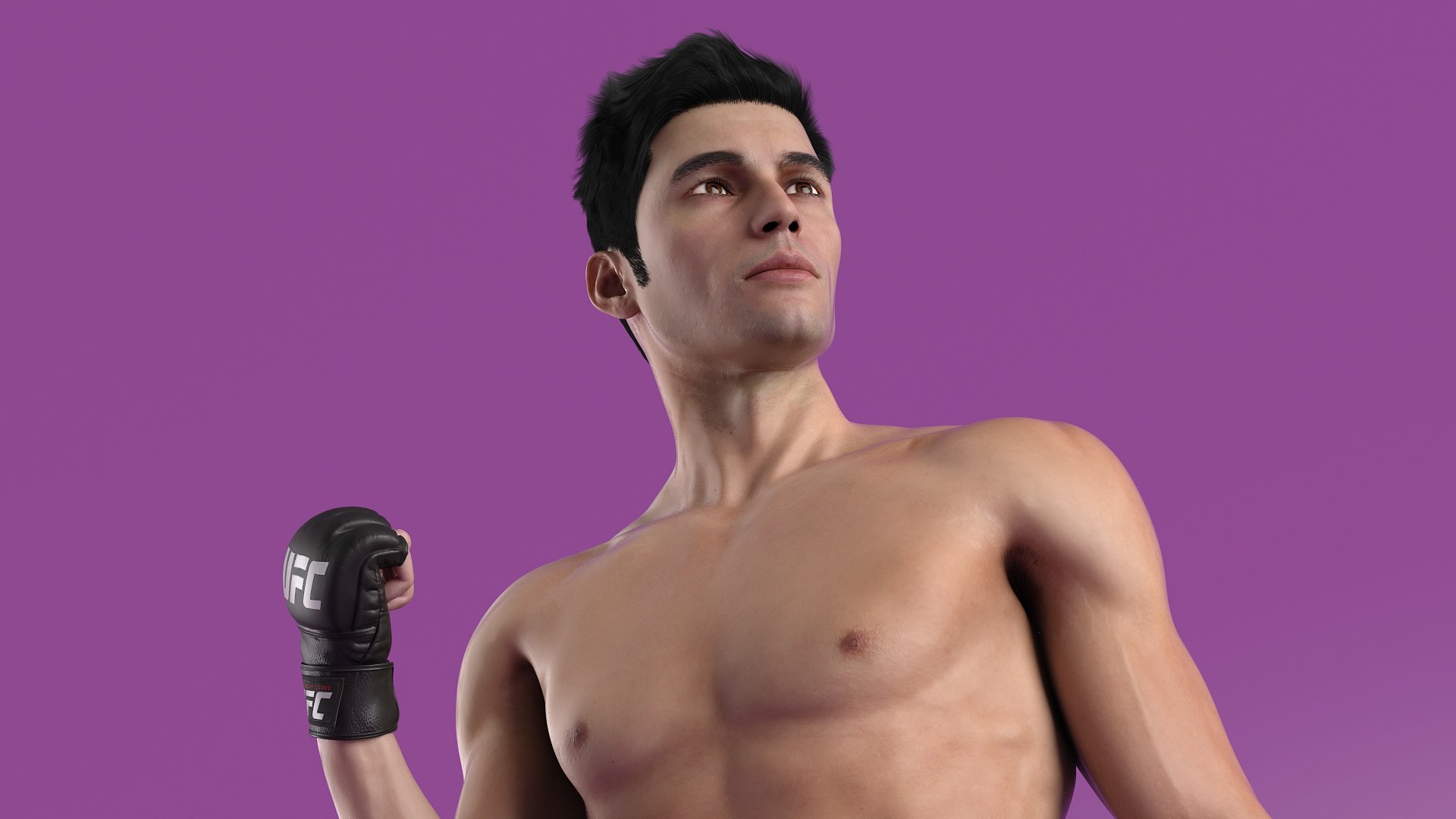 3D Model Fighter UFC MMA In Pose Fur - TurboSquid 2333990