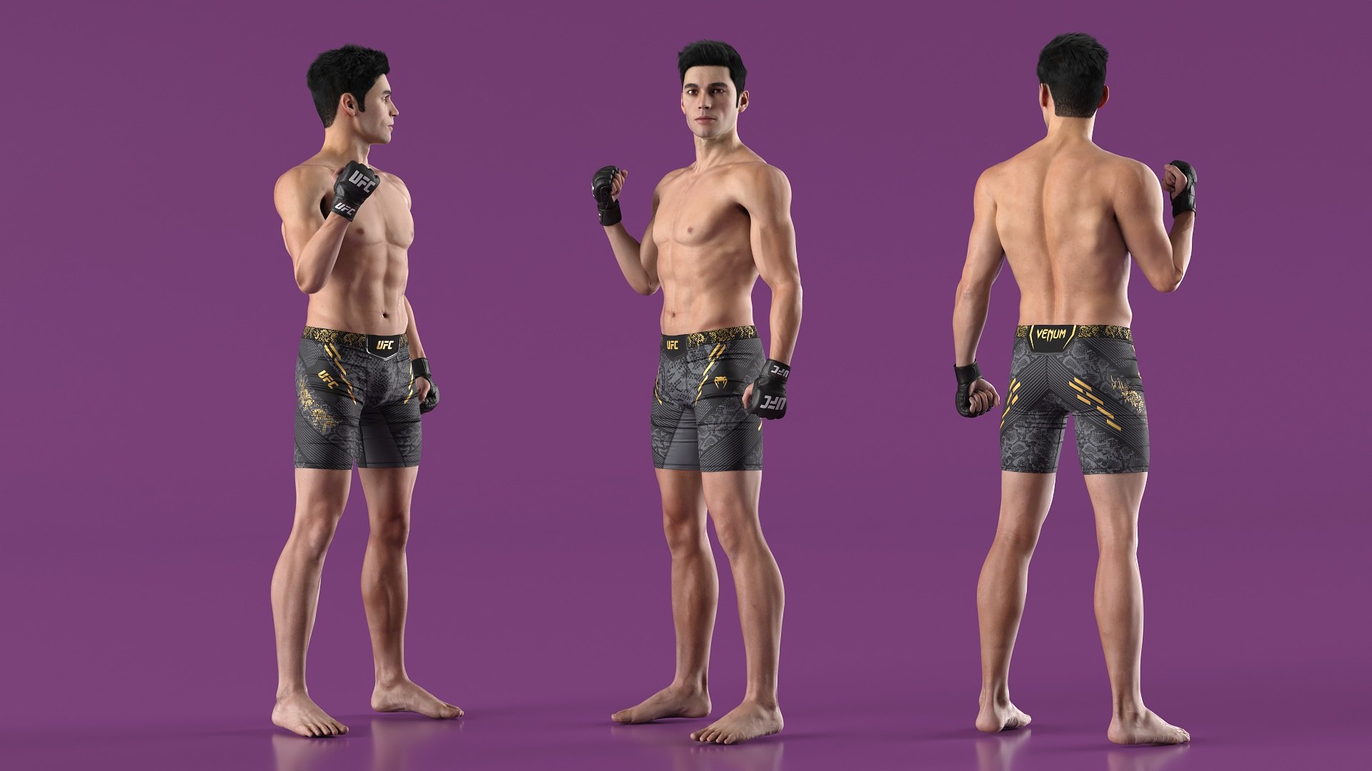 D Model Fighter Ufc Mma In Pose Fur Turbosquid