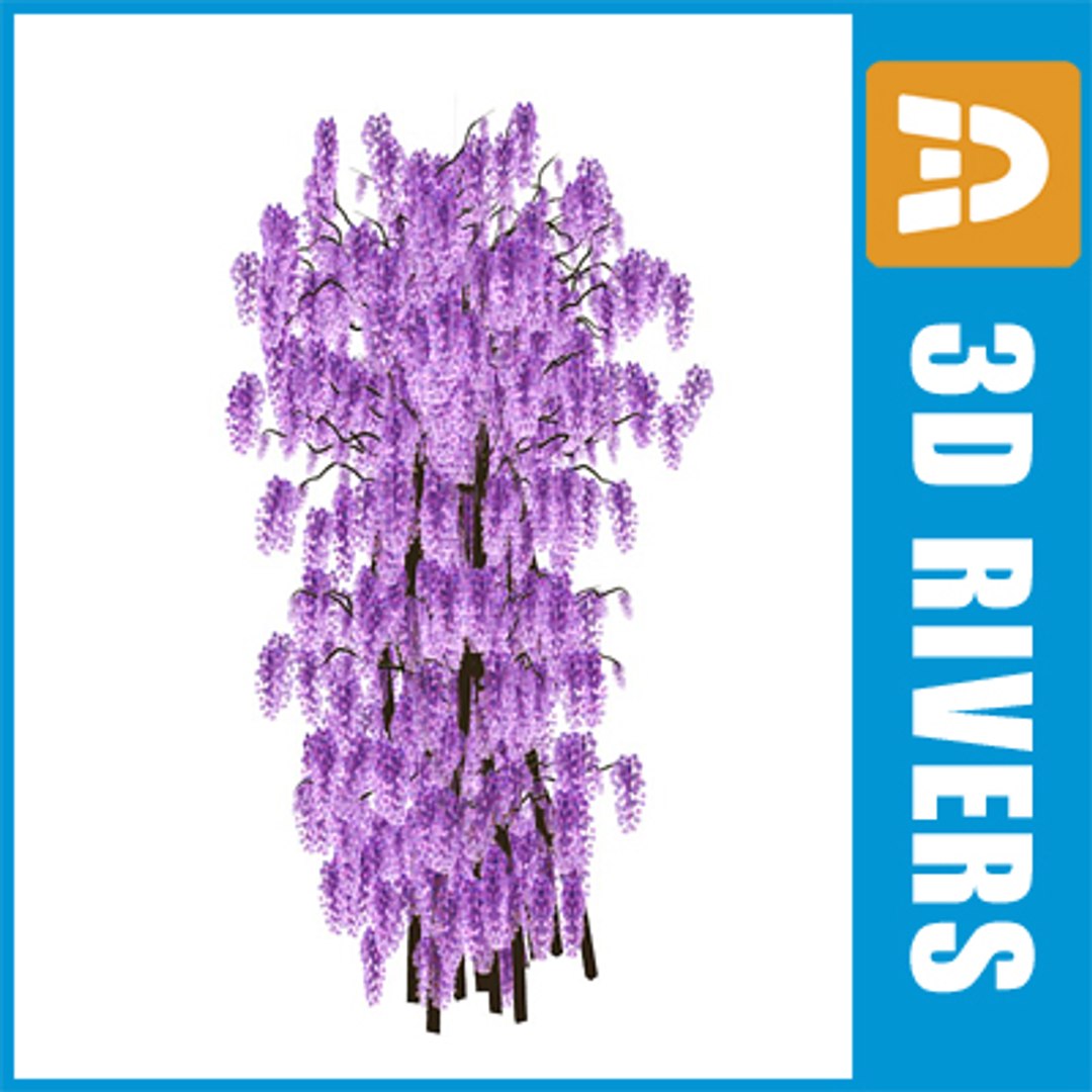Free Max Model Tree Violet