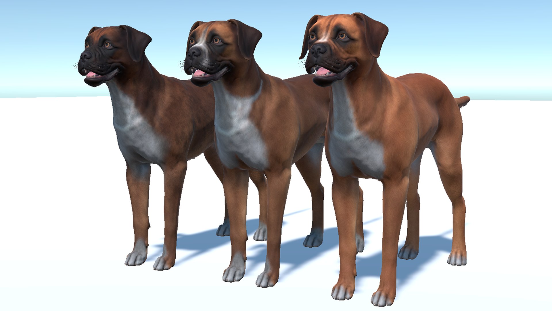 Dog - Boxer 3D - TurboSquid 2068877