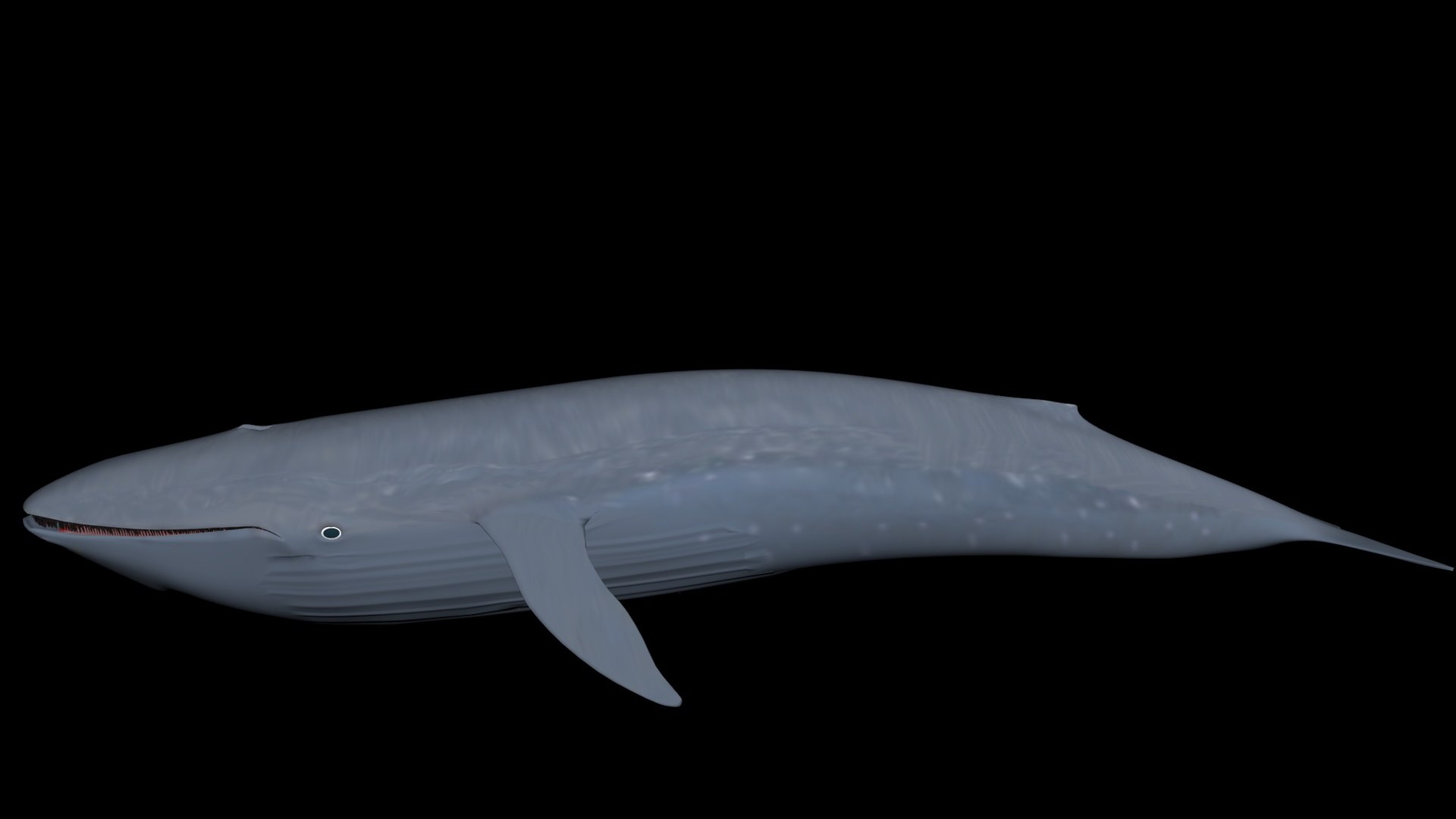 3D Blue Whale Personified Character - TurboSquid 2201334