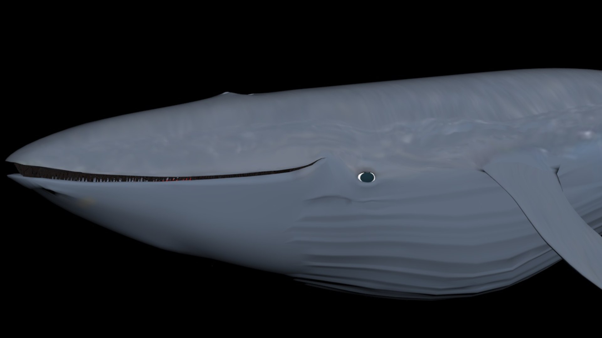 3D Blue Whale Personified Character - TurboSquid 2201334