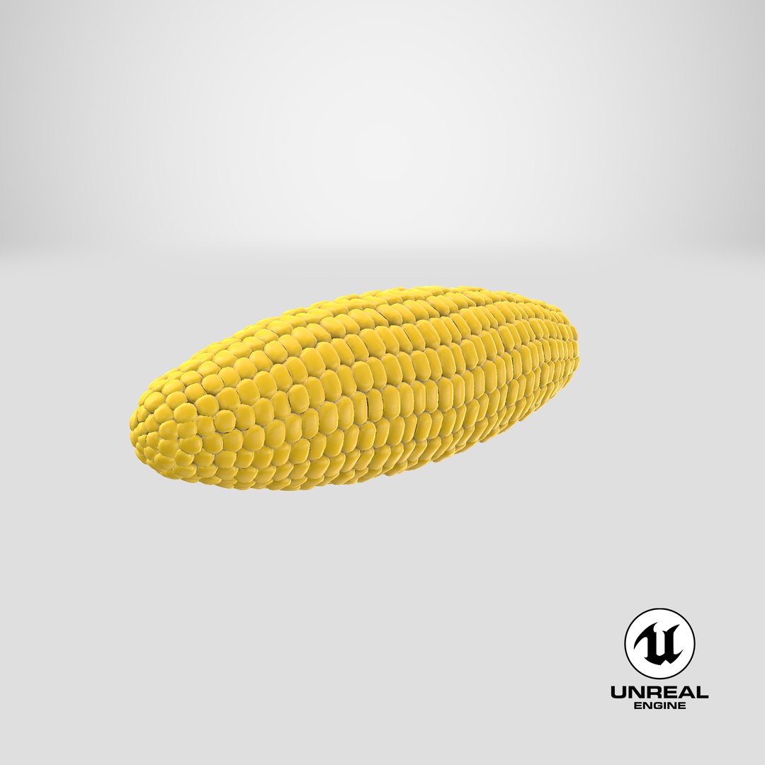 3D model Ear of Corn - TurboSquid 1749808