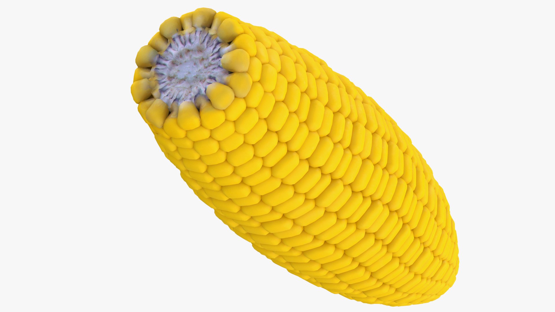 3D Model Ear Of Corn - TurboSquid 1749808