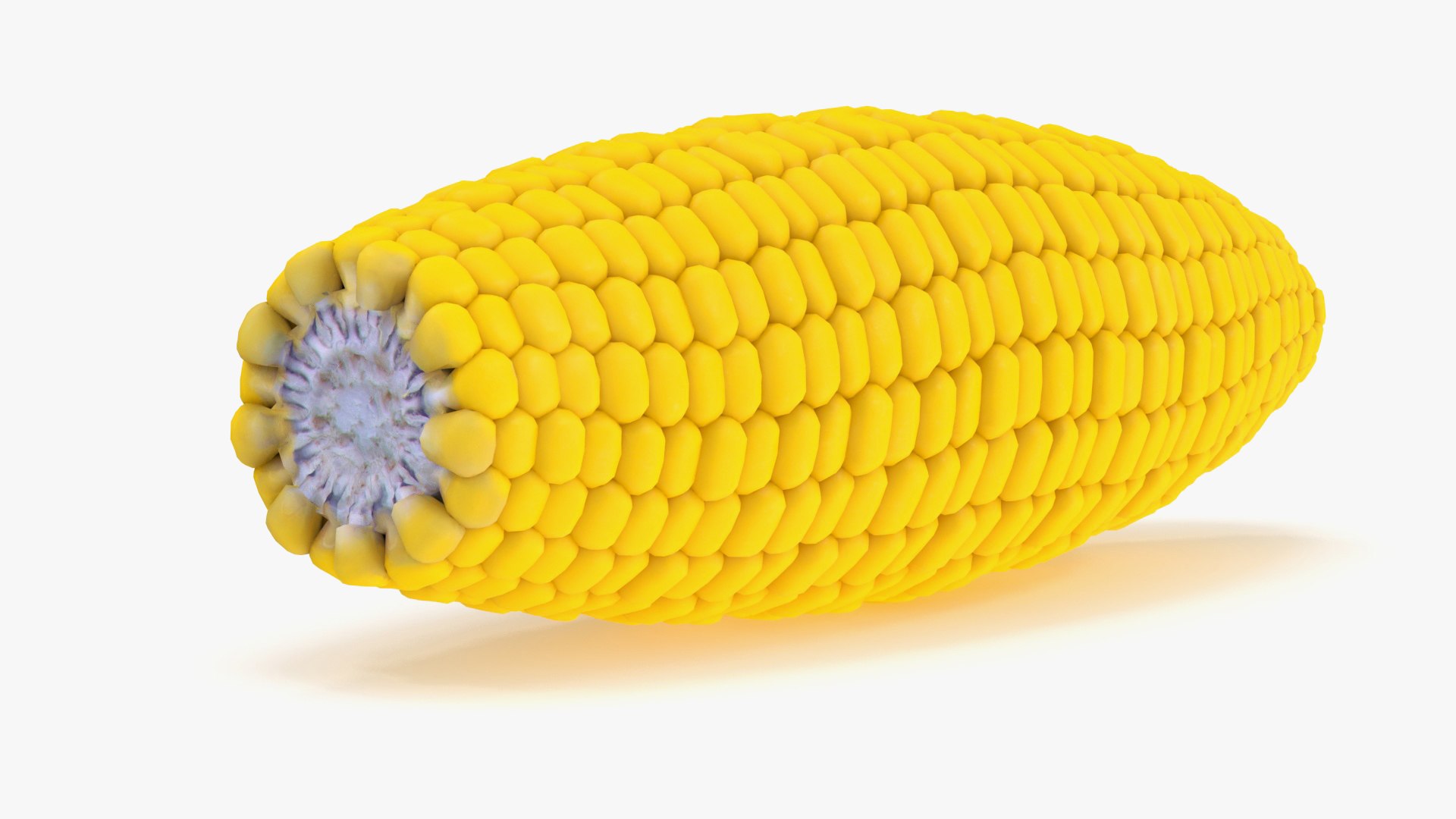 3D Model Ear Of Corn - TurboSquid 1749808
