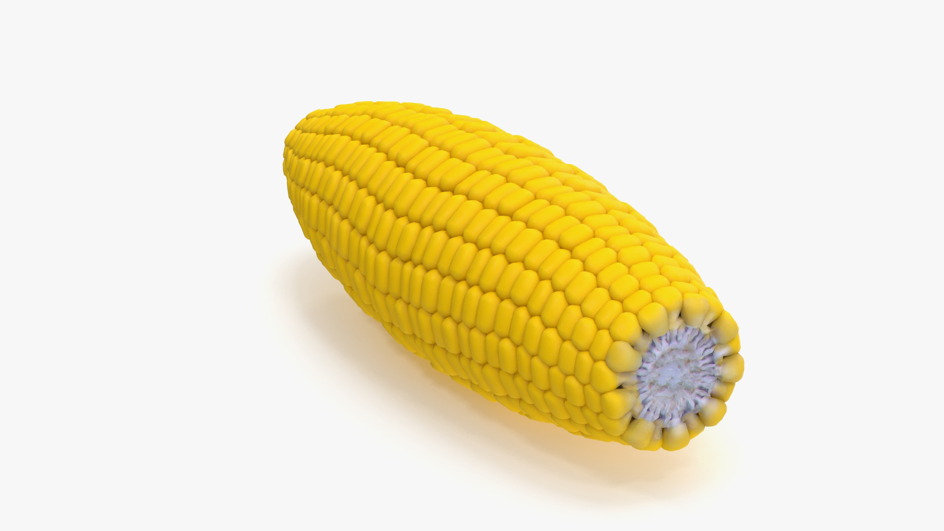 3D Model Ear Of Corn - TurboSquid 1749808