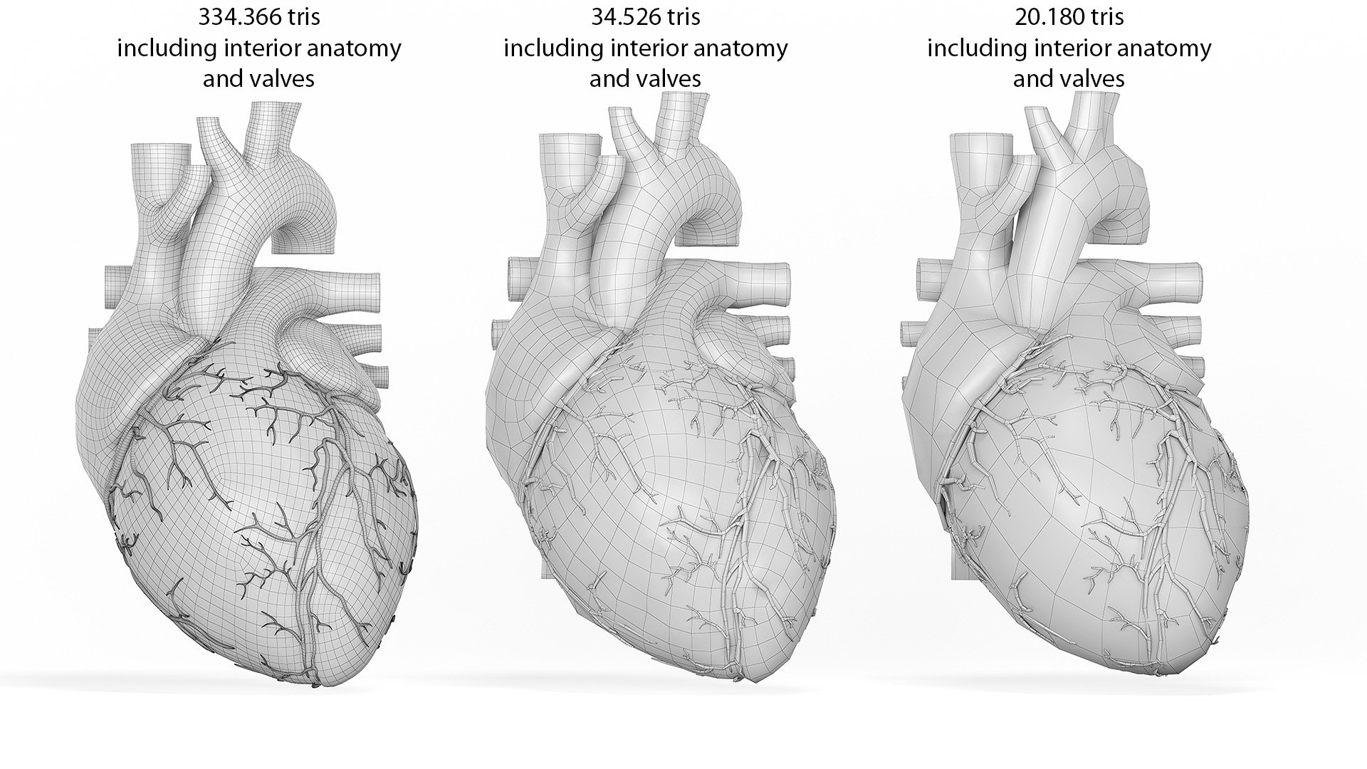 3D human heart - TurboSquid 1173861