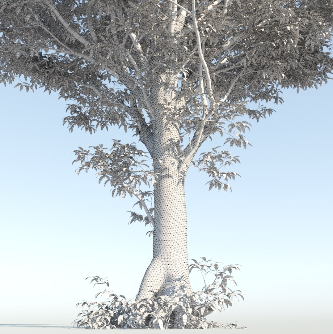 Tree Visualization 3D Model - TurboSquid 1189803
