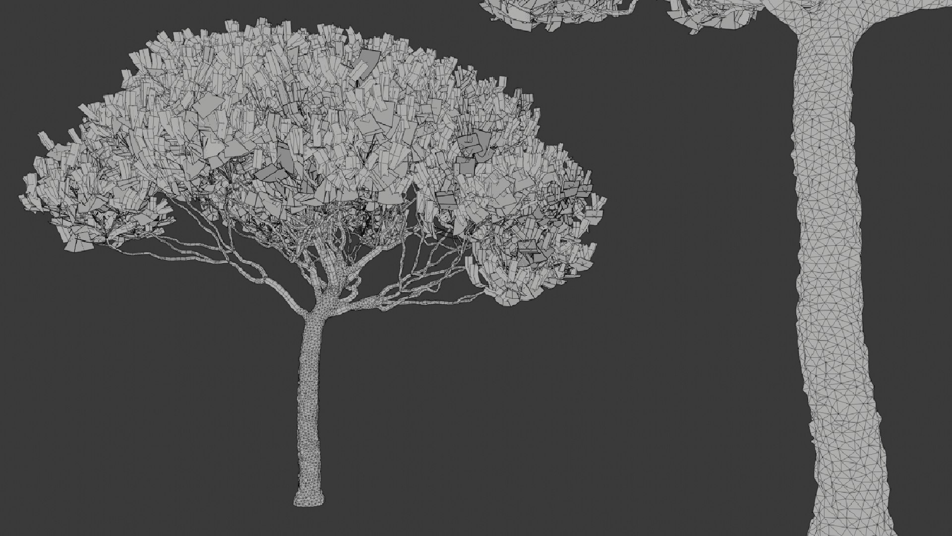 Maritime Pine Trees Pinus 3D Model - TurboSquid 1524353