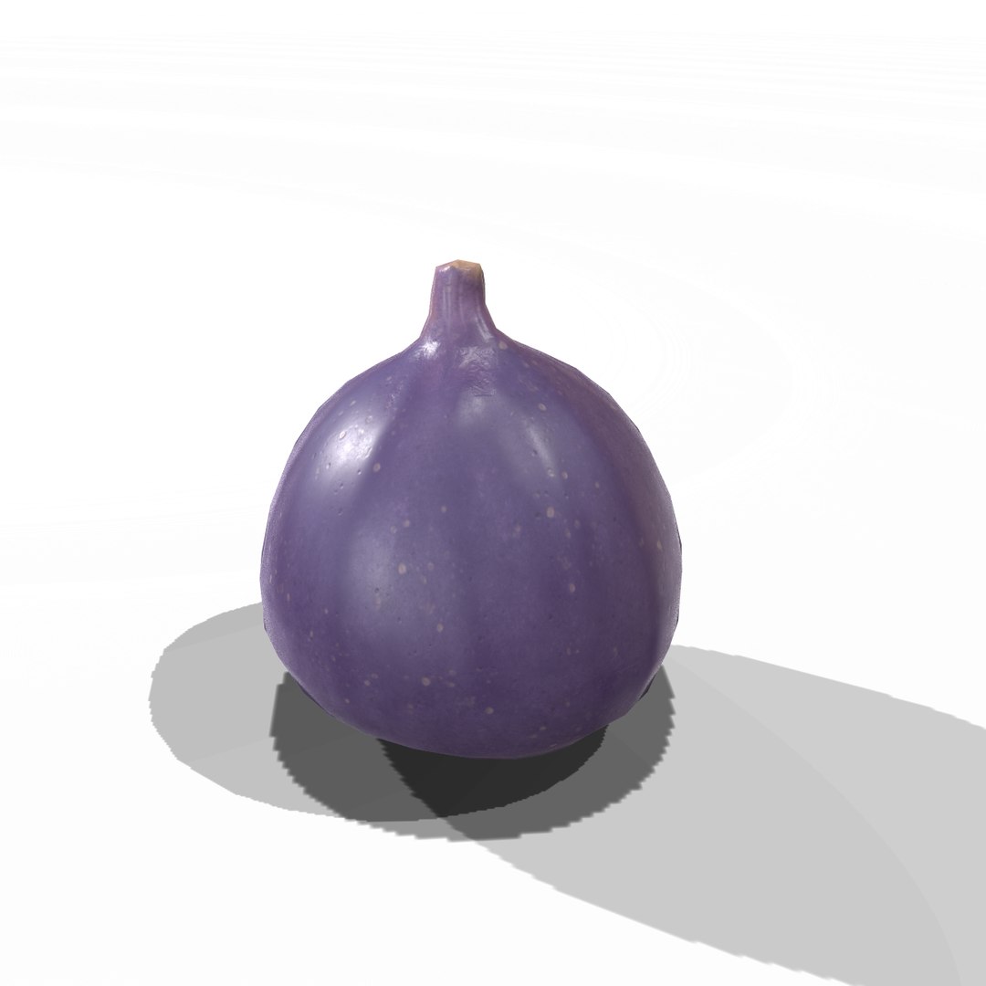 3D Fig Model - TurboSquid 2052209