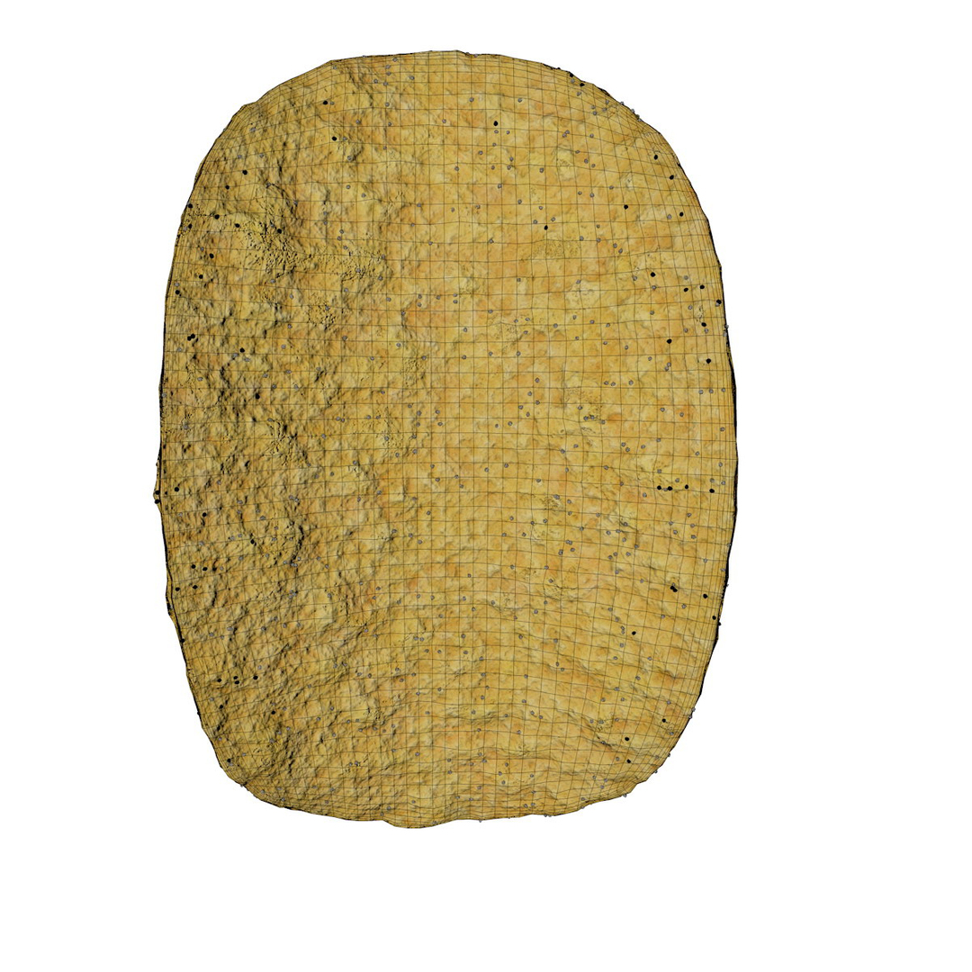3d Potato Chip Model
