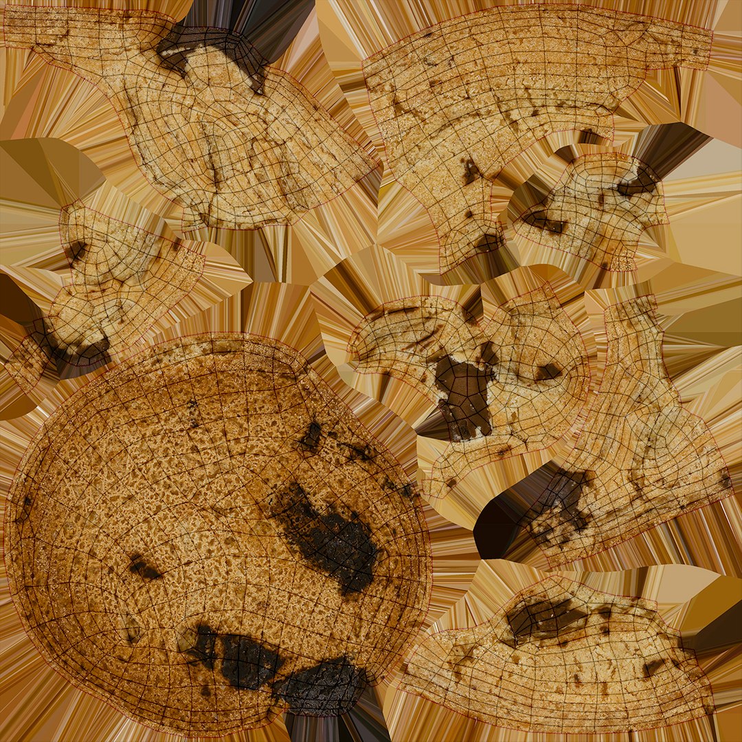 Chocolate Chip Cookie 01 model - TurboSquid 1841974