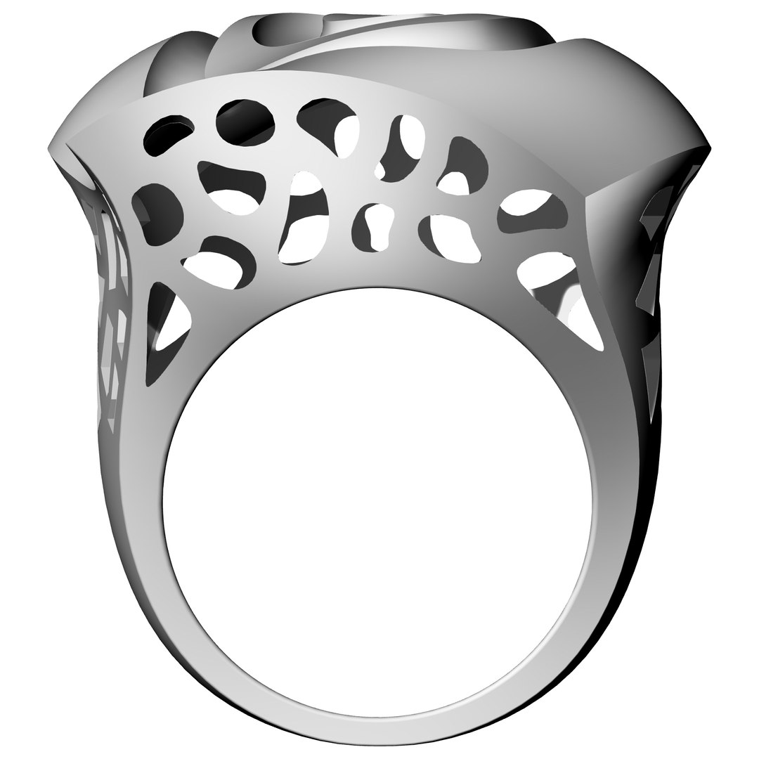 3D Ring Matrix Rhino - TurboSquid 1707609