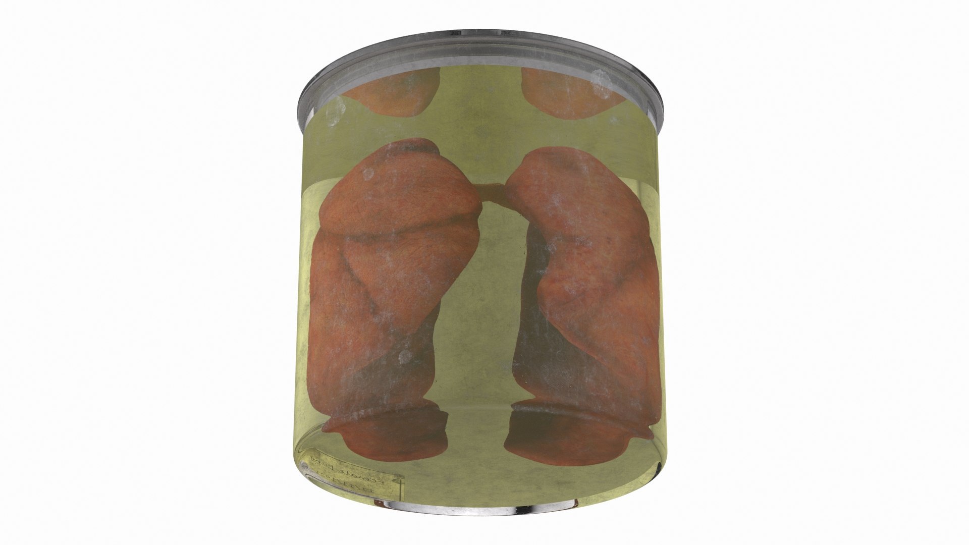 3D Human Organs In A Old Jar Collection 2 Model - TurboSquid 2299342