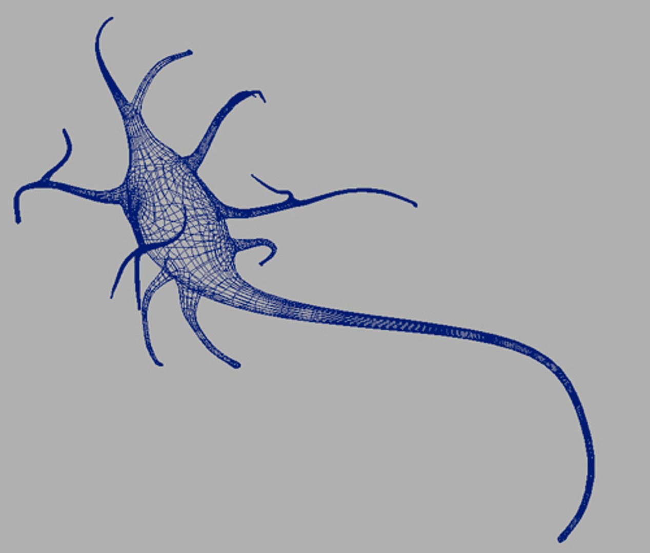 3d neuron synapse model