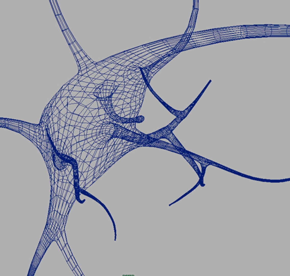 3d neuron synapse model