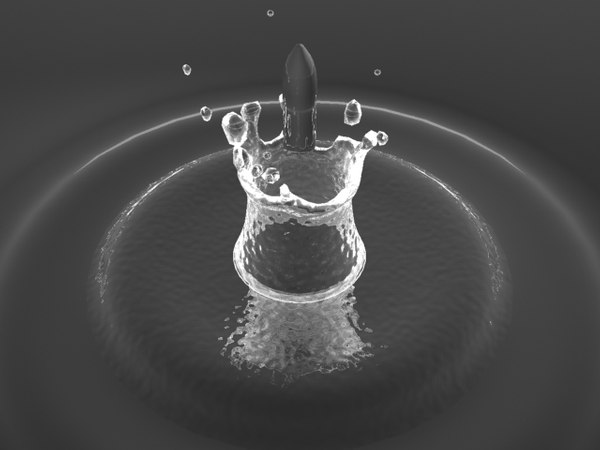 bullet water 3d model