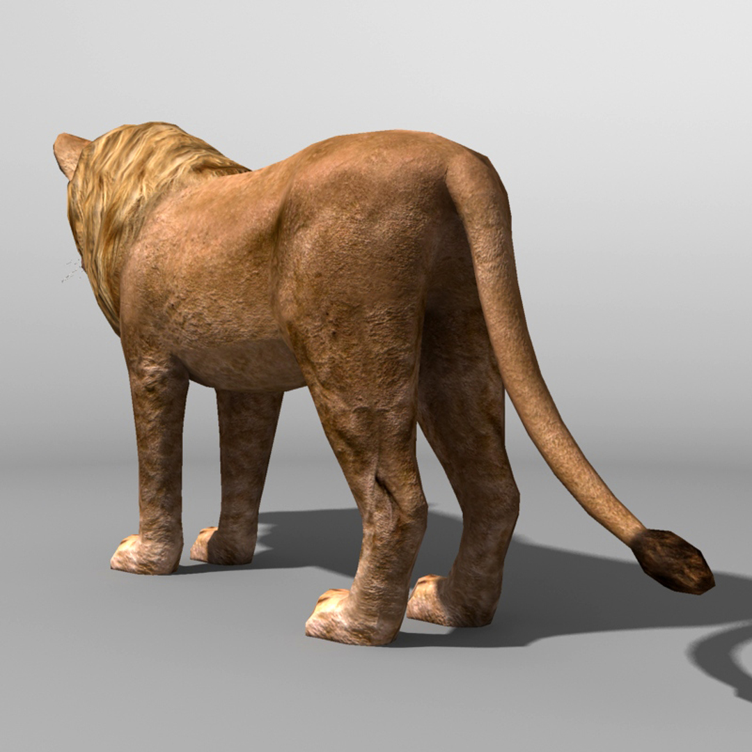 lion cat feline obj
