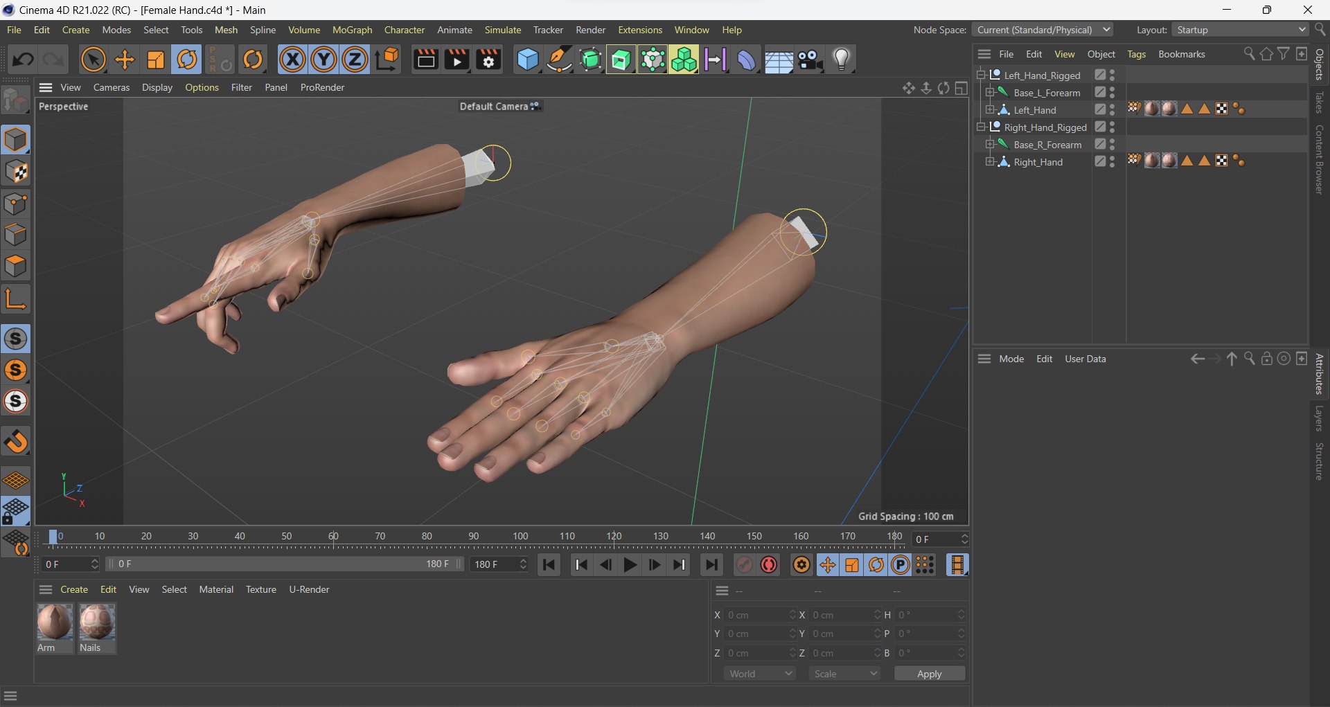 3D Female Hand Rigged For Cinema 4D - TurboSquid 2050508
