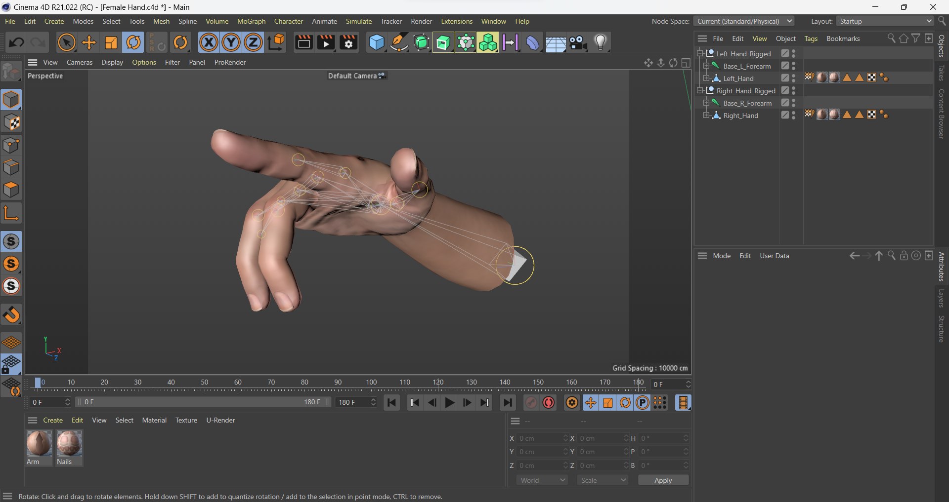3D Female Hand Rigged For Cinema 4D - TurboSquid 2050508