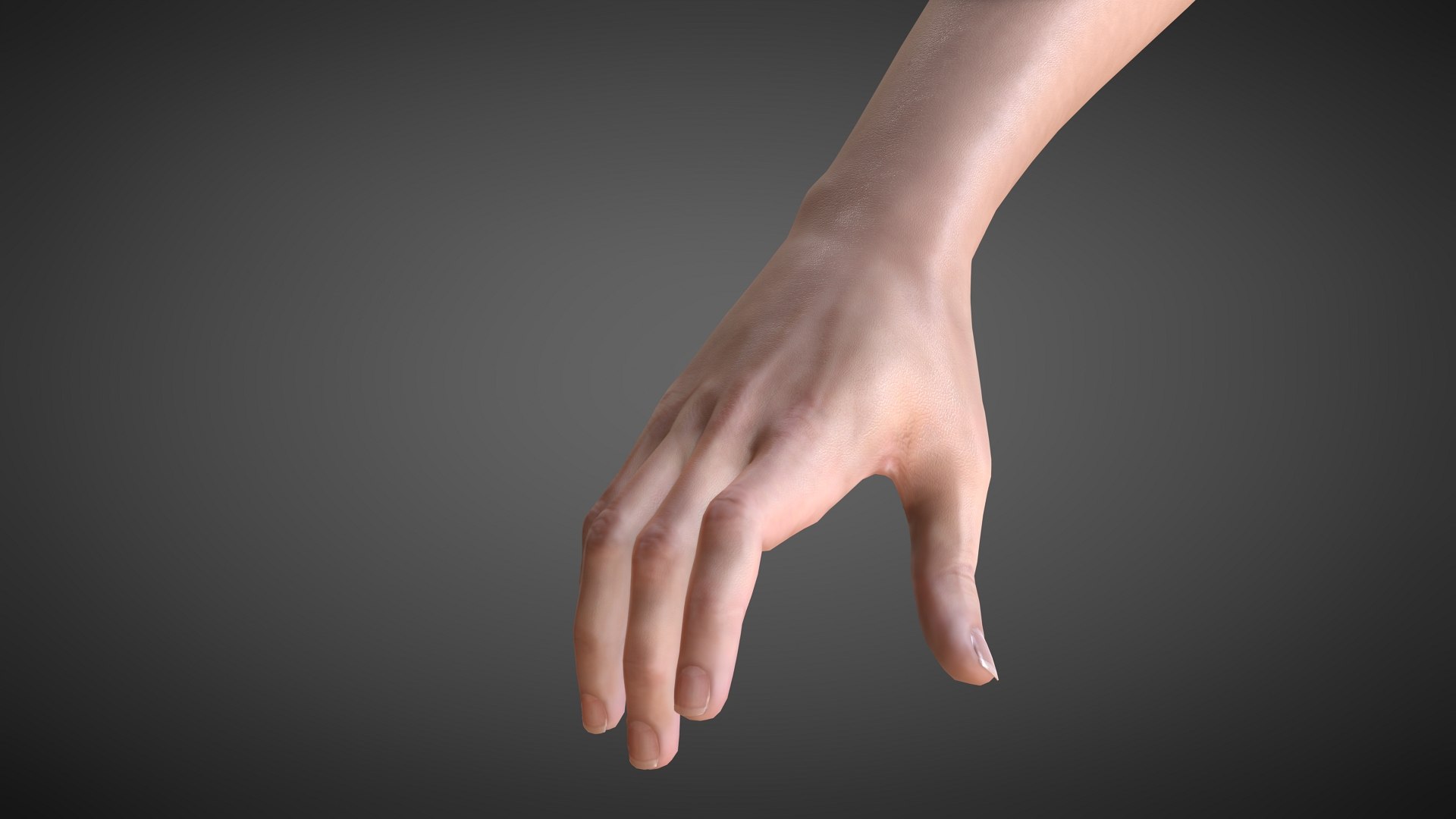 3D Female Hand Rigged For Cinema 4D - TurboSquid 2050508