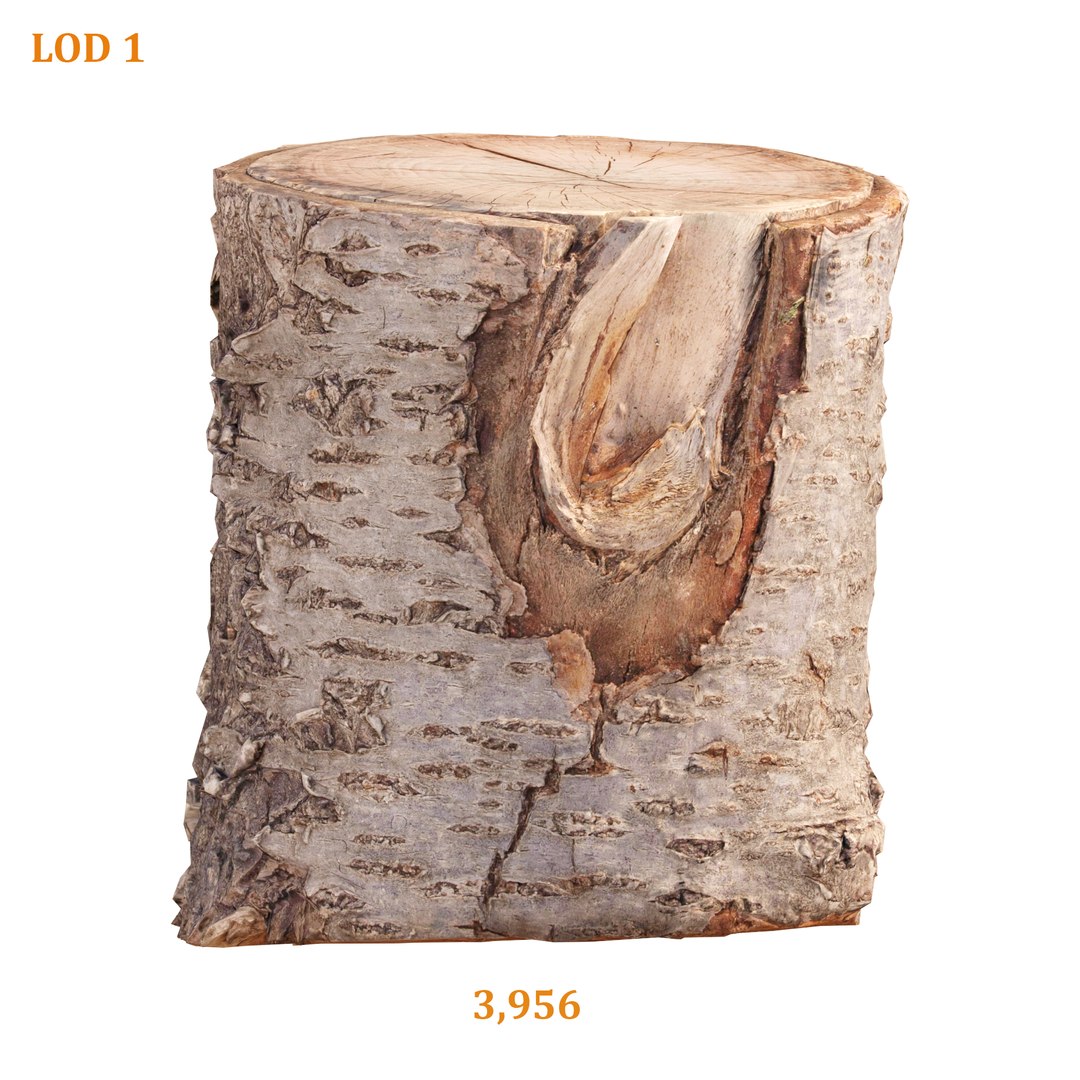 3D Scanned Tree Log Realistic Model With LOD Vol 01 3D - TurboSquid 2412696