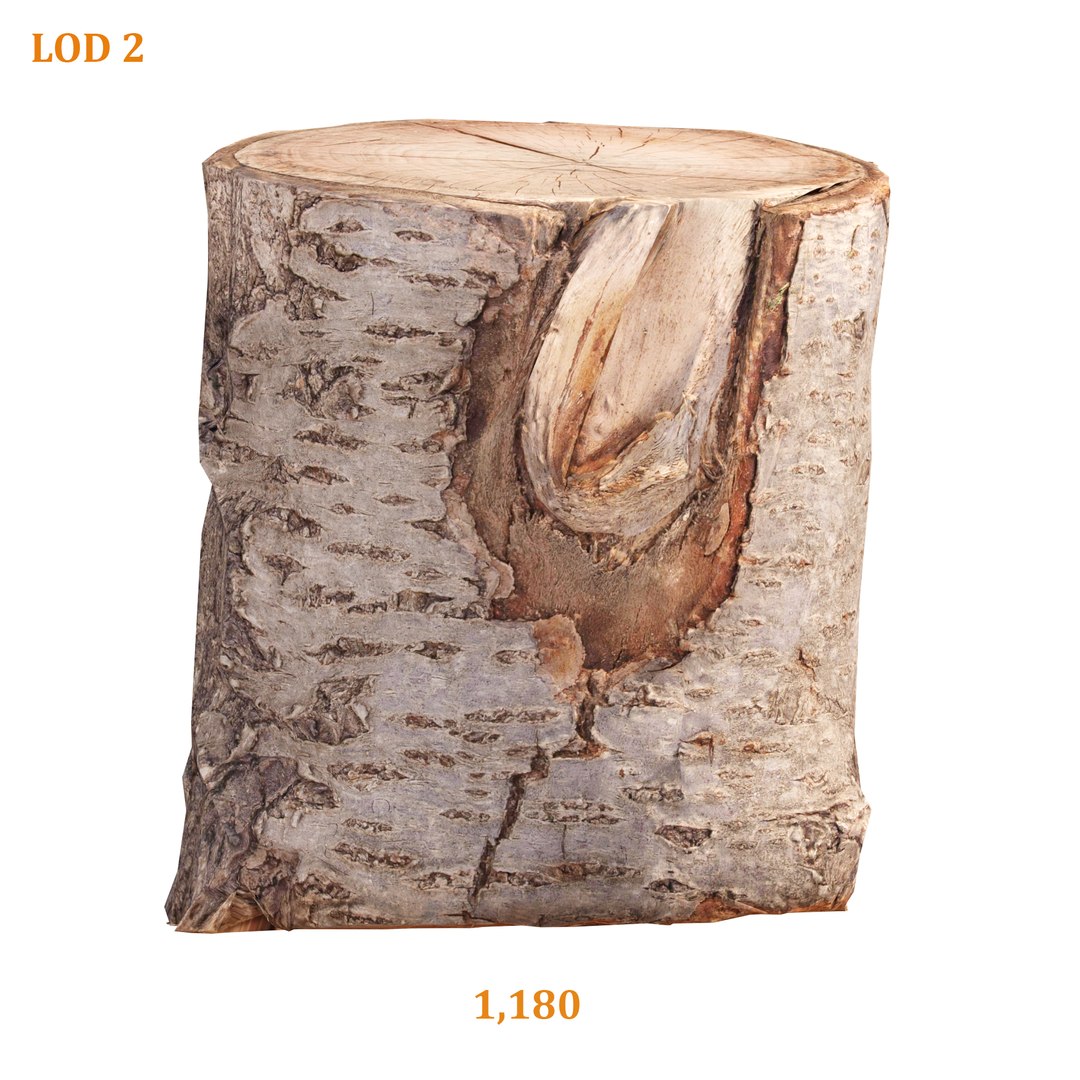 3D Scanned Tree Log Realistic Model With LOD Vol 01 3D - TurboSquid 2412696
