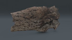 Bark 3D Models for Download | TurboSquid