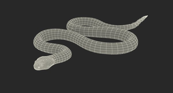Light rattlesnake crawling pose 3D model - TurboSquid 1398422